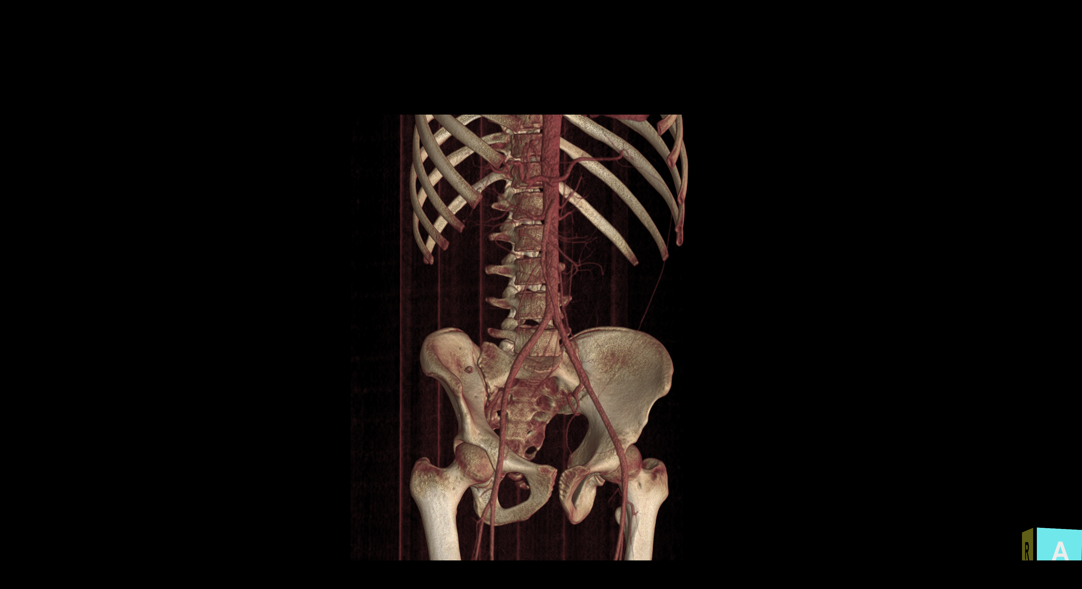 Radsync AI - The Radiology Operating System